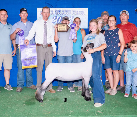 2023 Champions - Hild Club Lambs