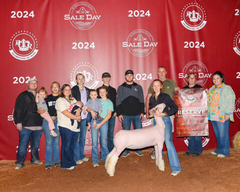 2024 Champions - Hild Club Lambs
